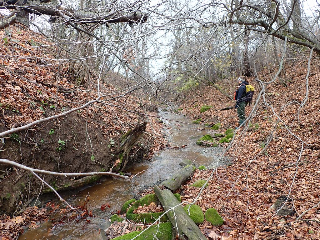 Restauration de l'espace de bon fonctionnement de la rivière du Cap ...